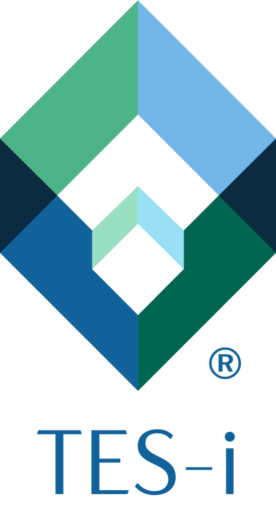 Modeling and Simulation - TES - Innovative Engineering Solutions